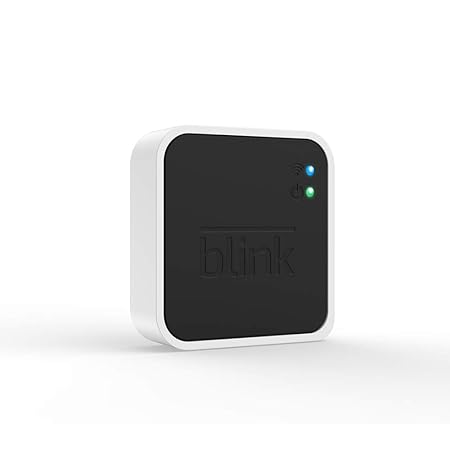 Blink Add-On Sync Module 2 – Dynamic Glow